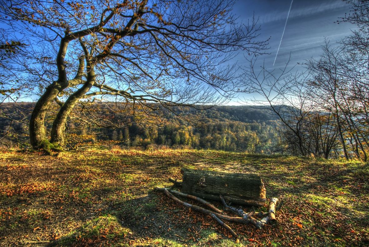 Pešterska visoravan: Gde priroda priča najlepše priče | Vesti 321Srbija